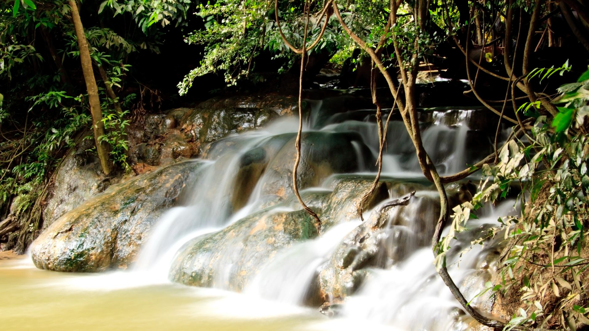 Krabi Emerald Pool / Hot Springs + Elephants Excursion Price: ฿1399 ...