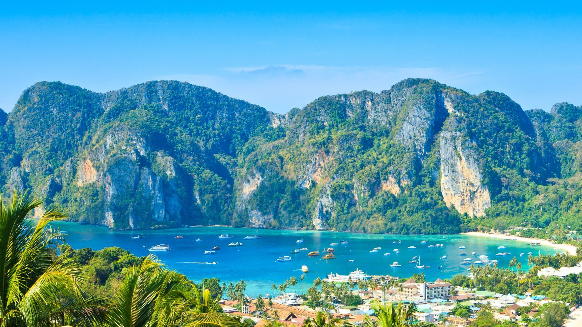 Phuket Phi Phi by Sea Angel Cruise Excursion Price: ฿1111 - ViagoTour.com